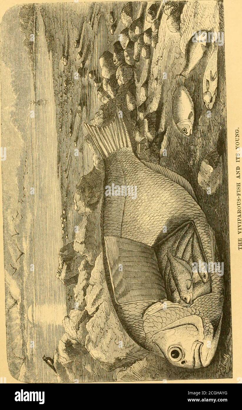 Perfect in every detail hi-res stock photography and images - Alamy