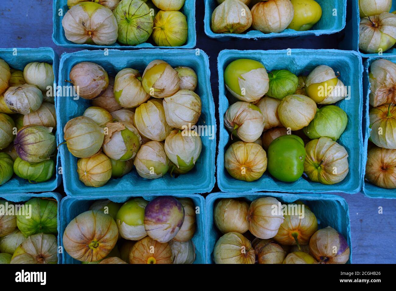Containers of green tomatillo (Mexican husk tomato Stock Photo - Alamy