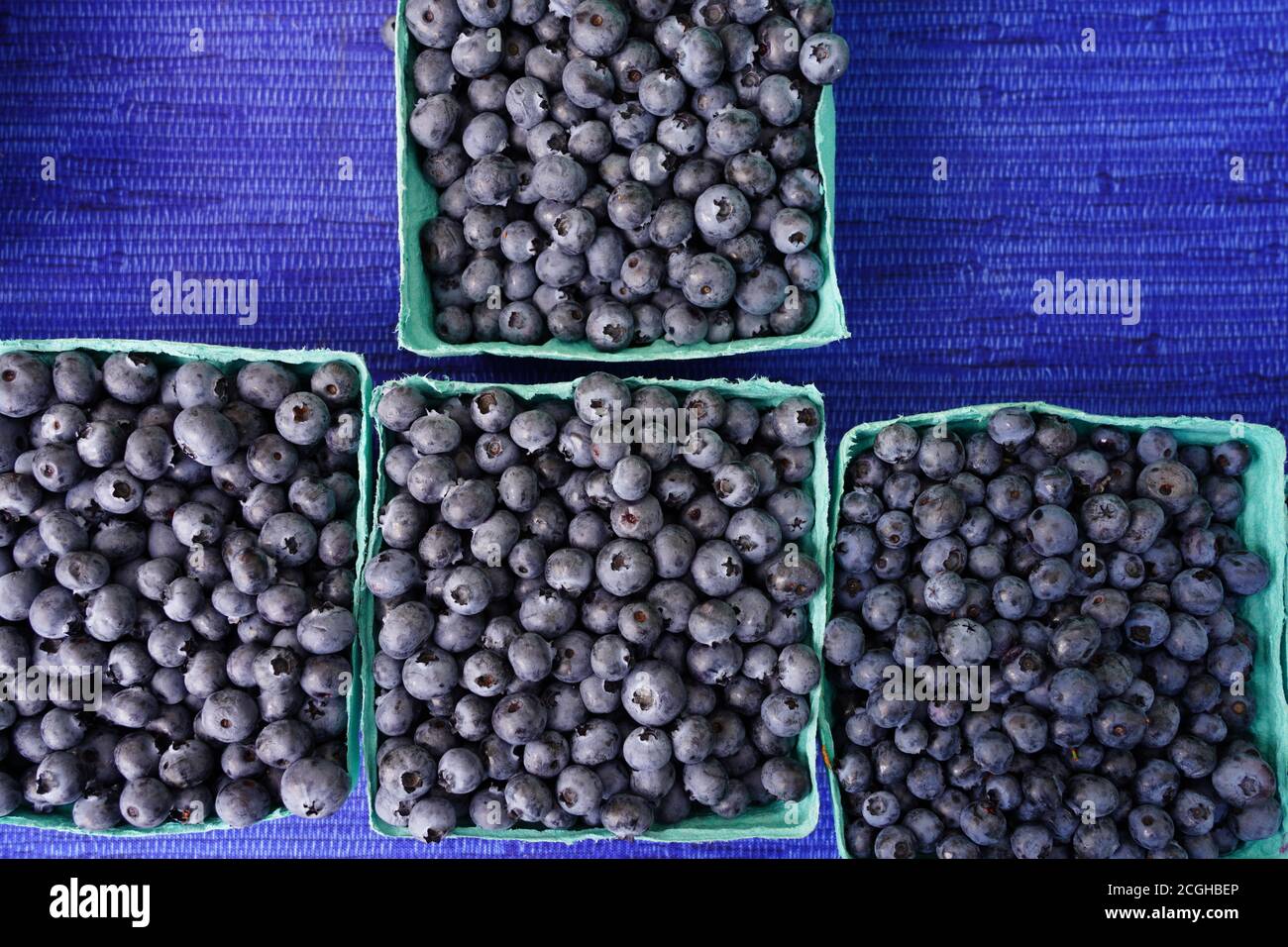 Box of fresh wild Maine blueberries Stock Photo - Alamy
