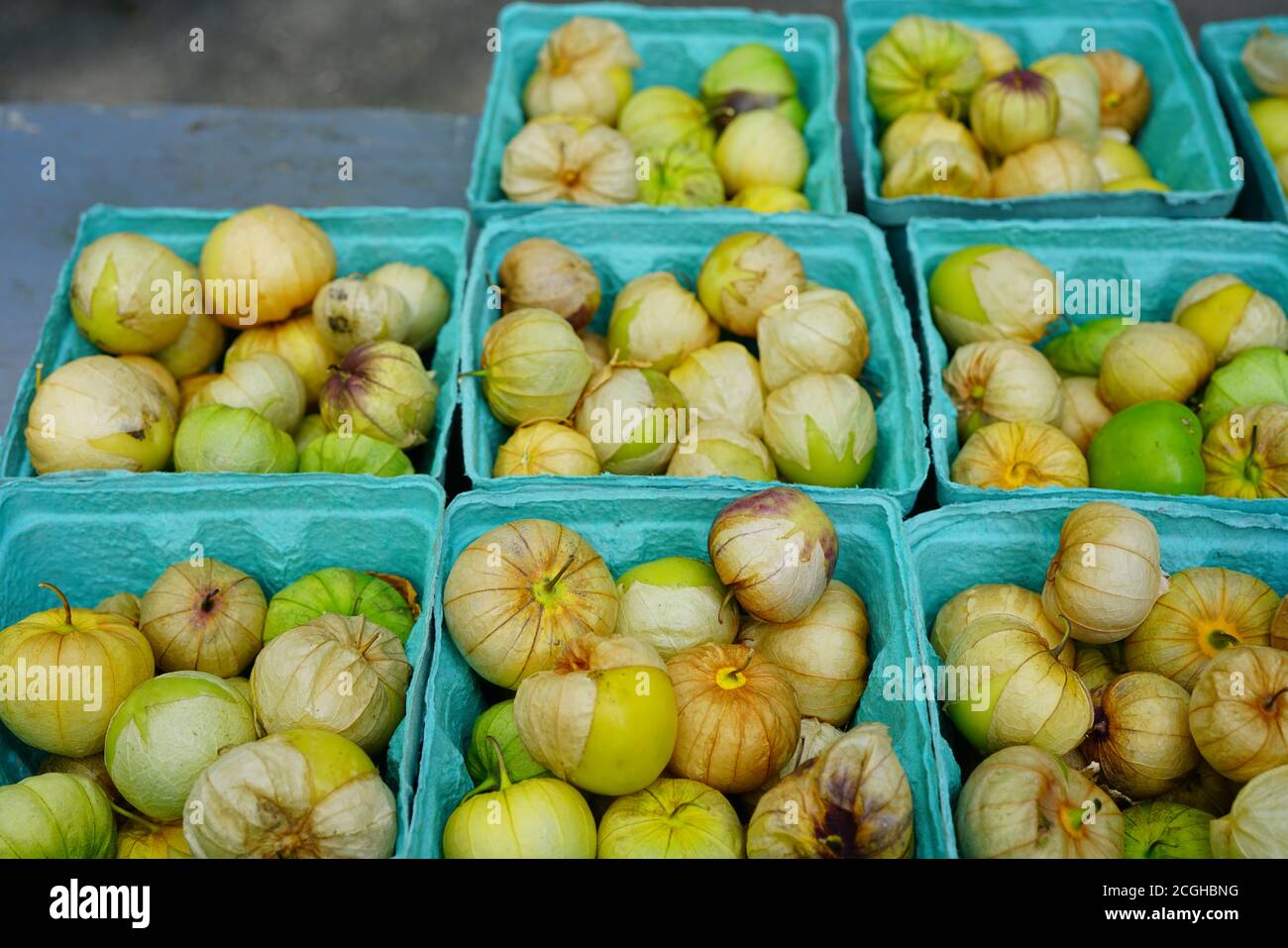 Containers of green tomatillo (Mexican husk tomato Stock Photo - Alamy