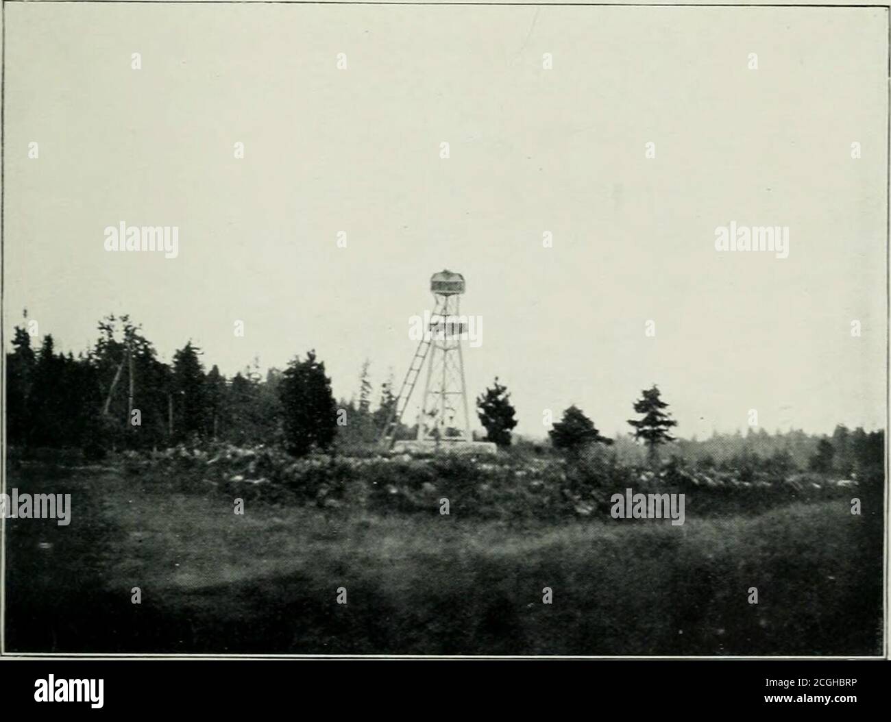 . The life and voyages of Joseph Wiggins; modern discoverer of the Kara ...