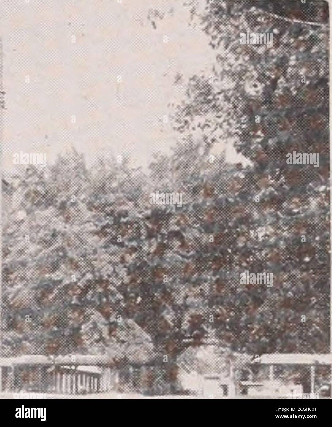 . Alienist and neurologist. . Cincinnati Sanitarium FOR MENTAL DISEASES ...