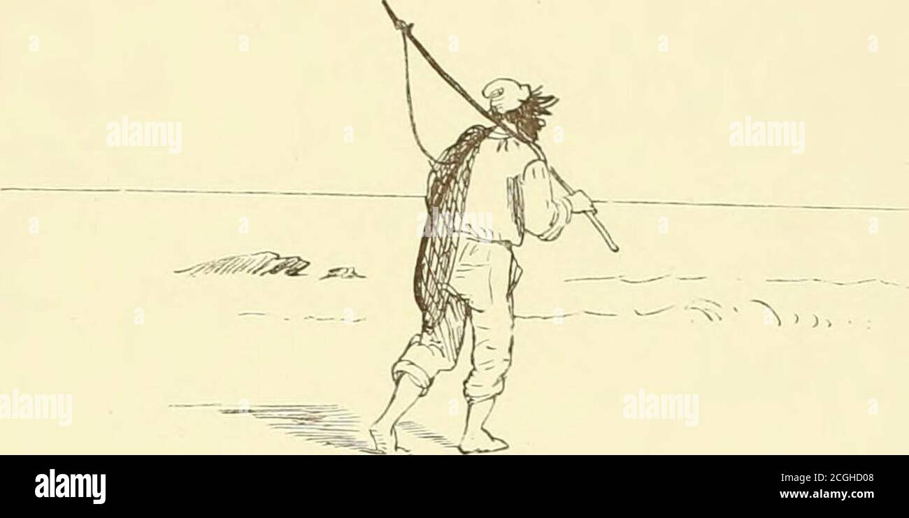 Some of Aesop's fables : with modern instances shewn in designs by ...