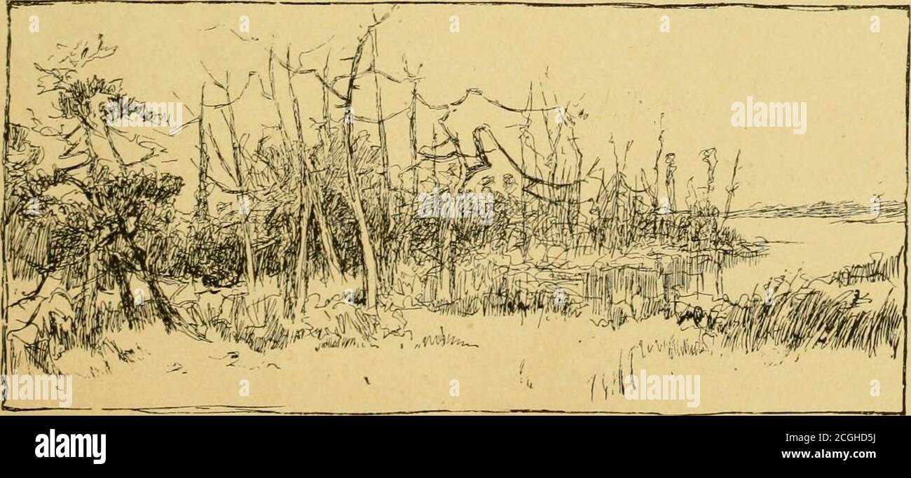 Leon moran hi-res stock photography and images - Alamy