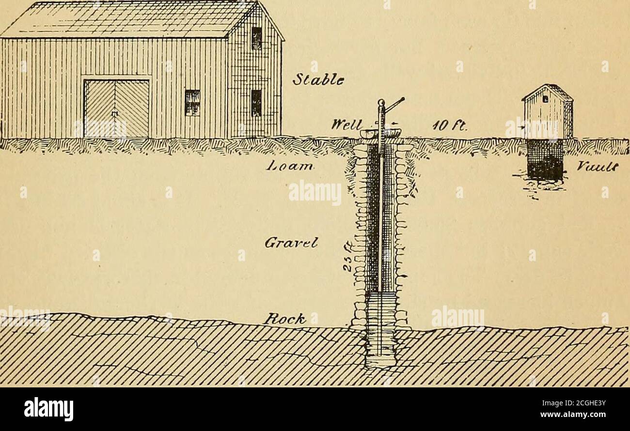 . A treatise on hygiene and public health . FiG. 8. luted well-water ...