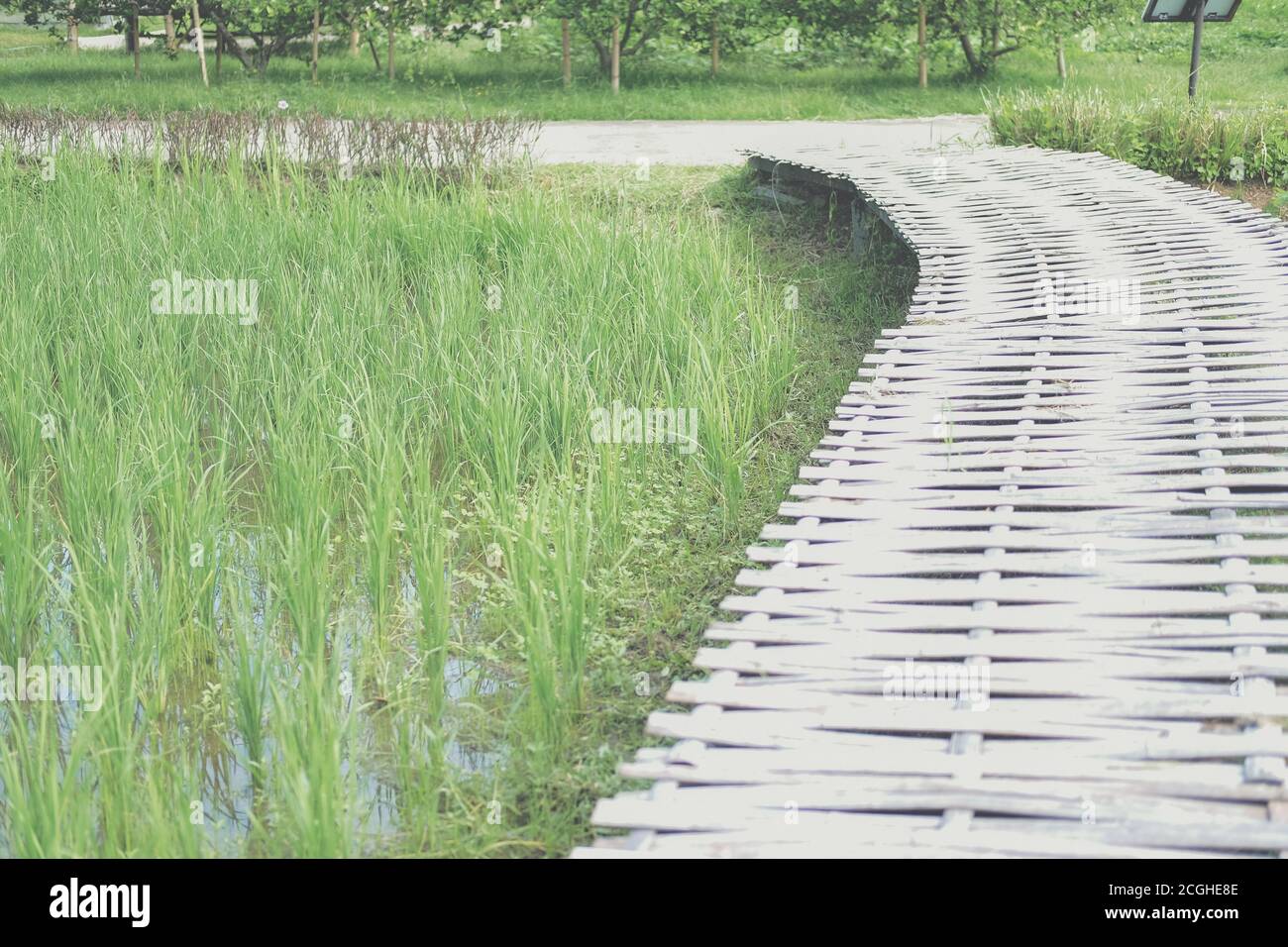Bamboo footbridge hi-res stock photography and images - Alamy