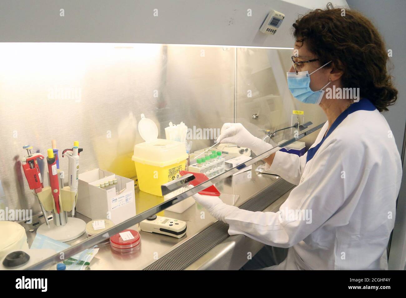 Modena, Italy. 11th Sep, 2020. Modena. Microbiology Laboratory at the ...