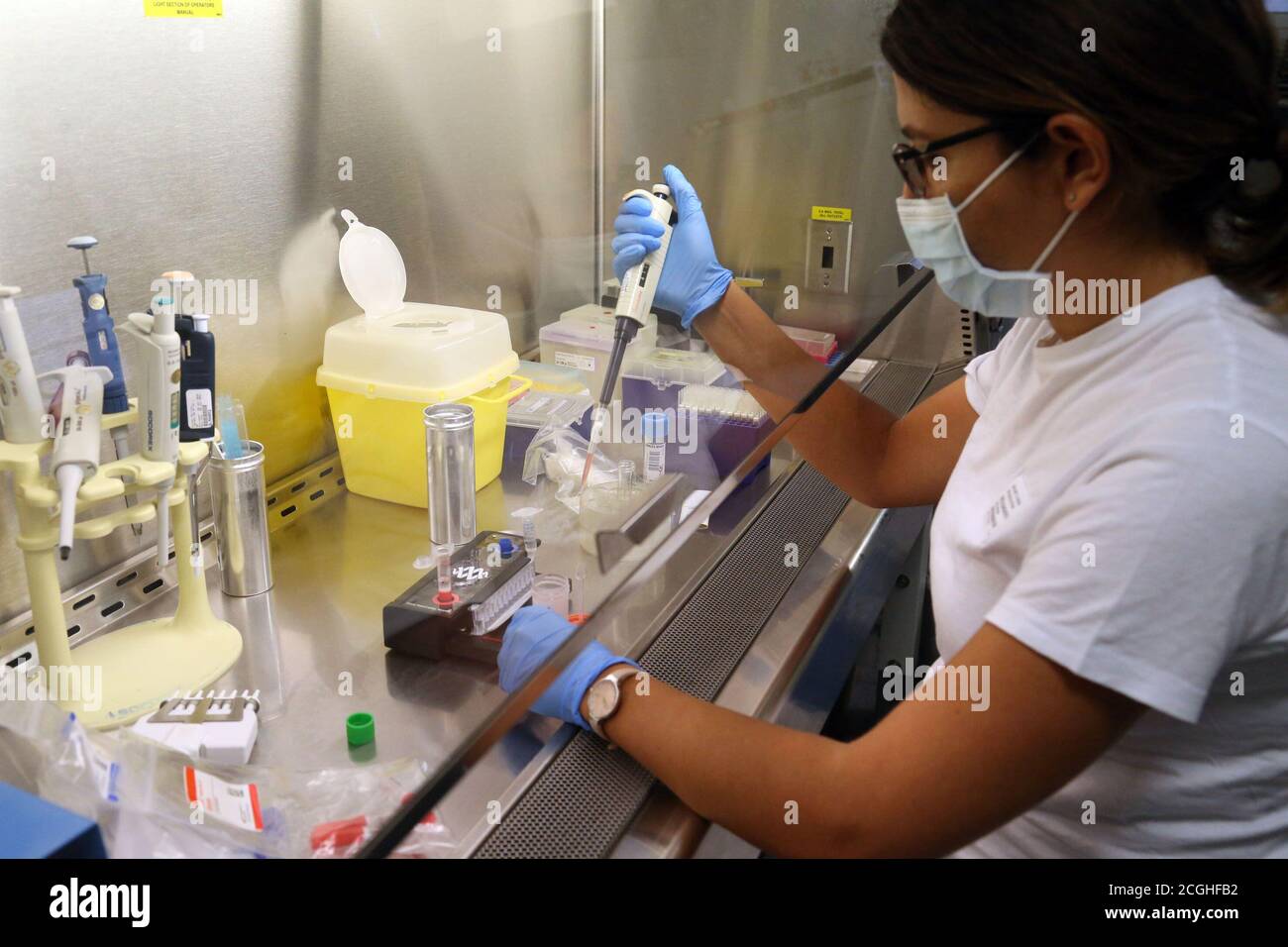 Modena, Italy. 11th Sep, 2020. Modena. Microbiology Laboratory at the ...