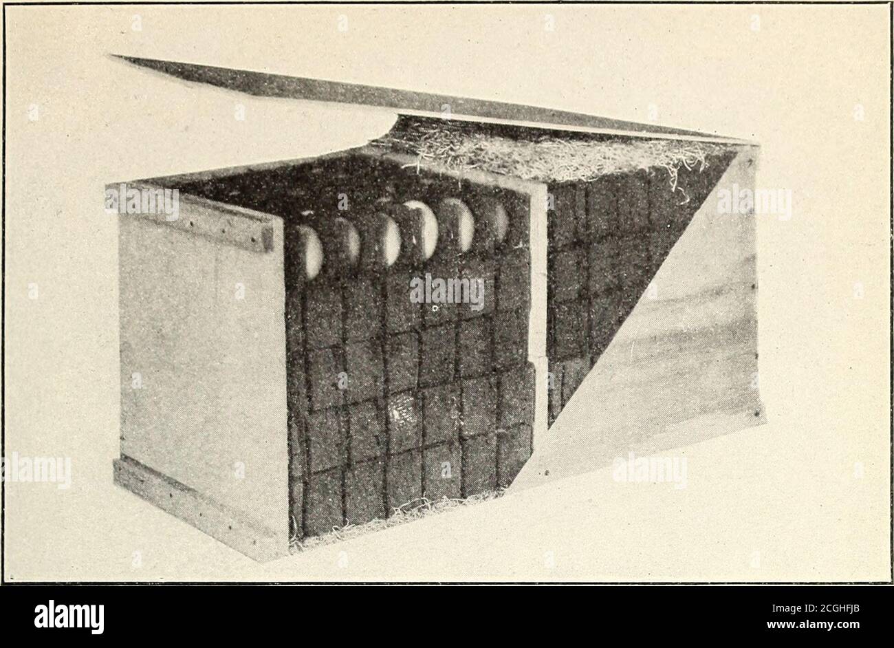 . The prevention of breakage of eggs in transit when shipped in carlots ...