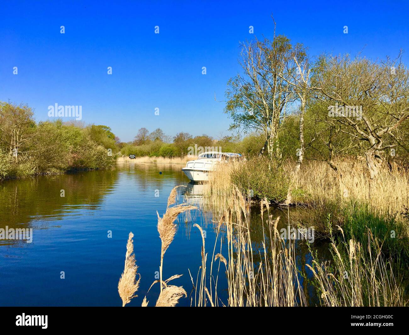 Norfolk Broads by boat Stock Photo - Alamy