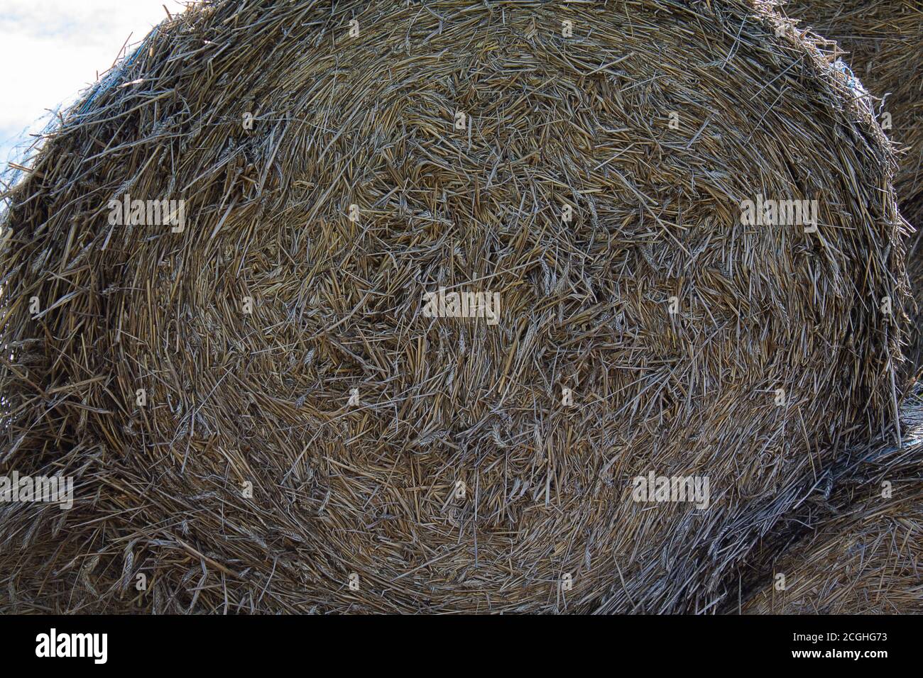 Straw bale texture hi-res stock photography and images - Alamy