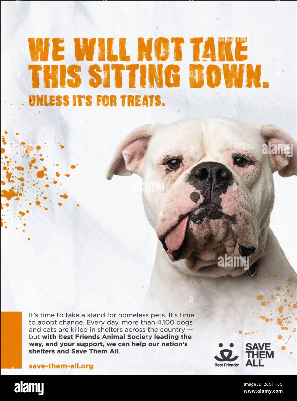 2010s USA Best Friends Animal Society Magazine Advert Stock Photo - Alamy