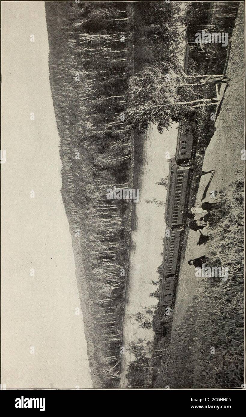 Roman catholic presbyter hi-res stock photography and images - Alamy