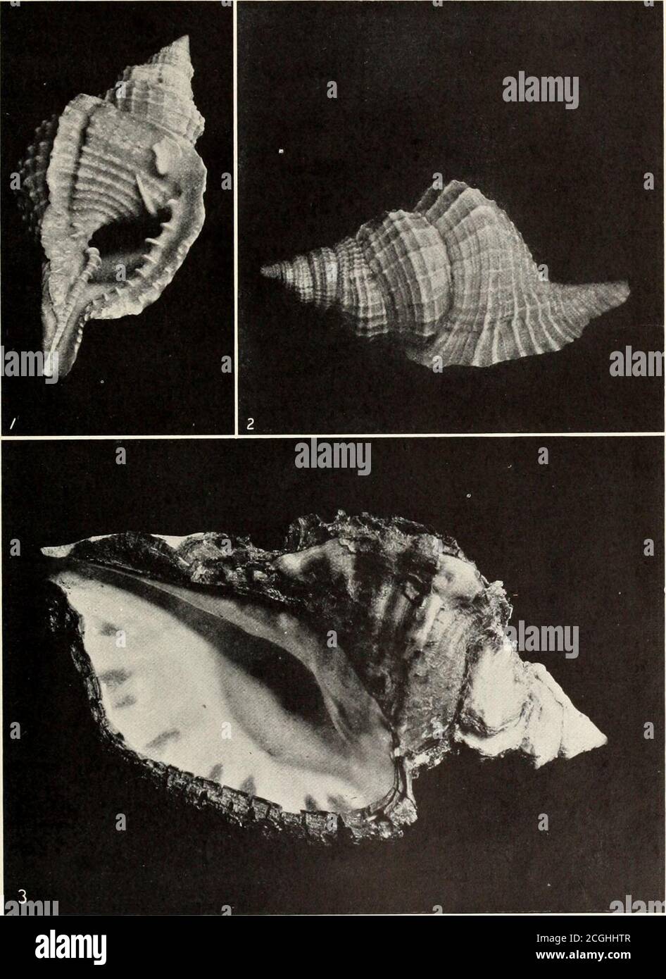 Wide brown canal hi-res stock photography and images - Alamy