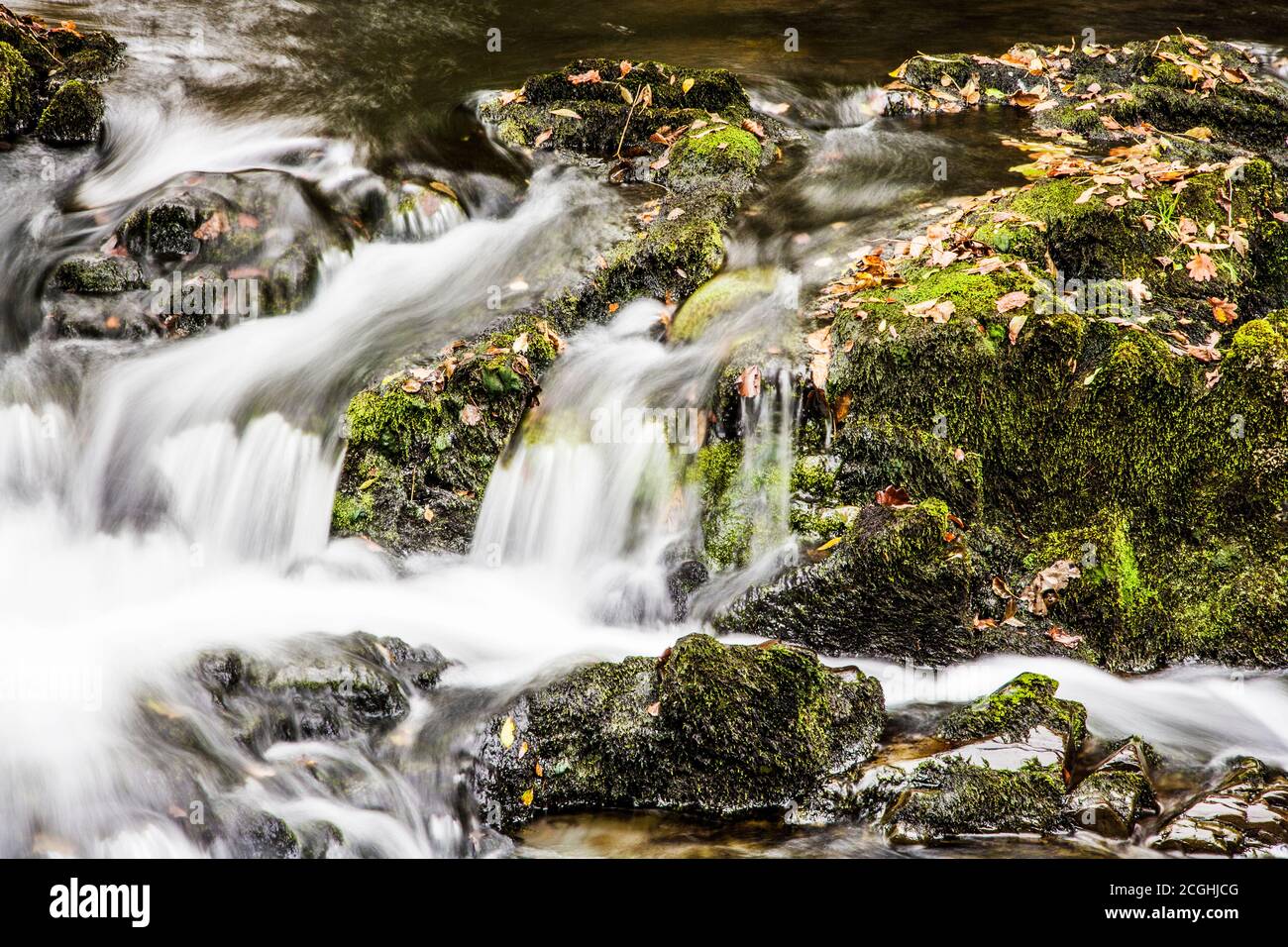 Mountain stream bubbling small waterfall hi-res stock photography and ...