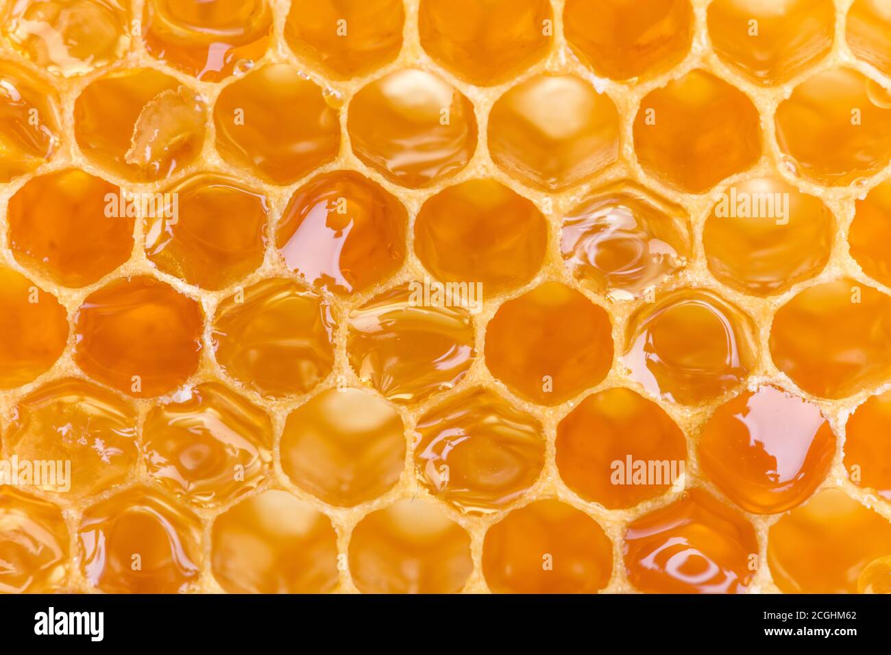 Extreme macro shot of a honey filled honeycomb Stock Photo - Alamy