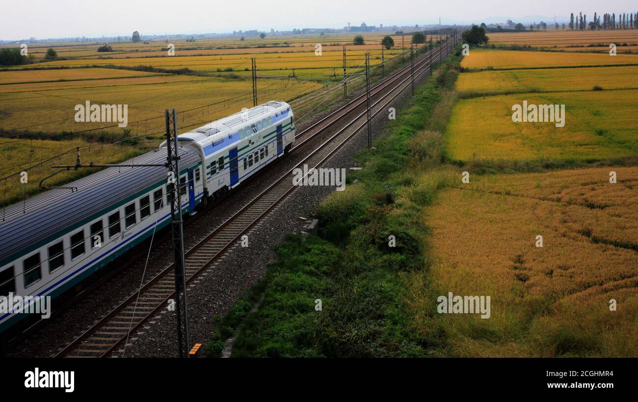 Rice paddy crossing hi-res stock photography and images - Alamy