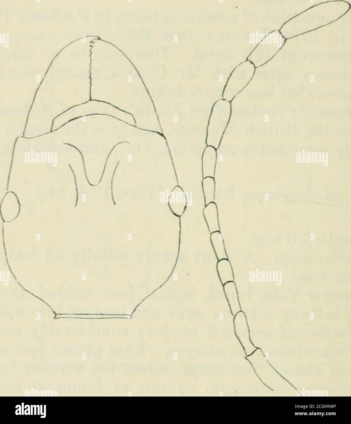 . The annals and magazine of natural history : zoology, botany, and ...
