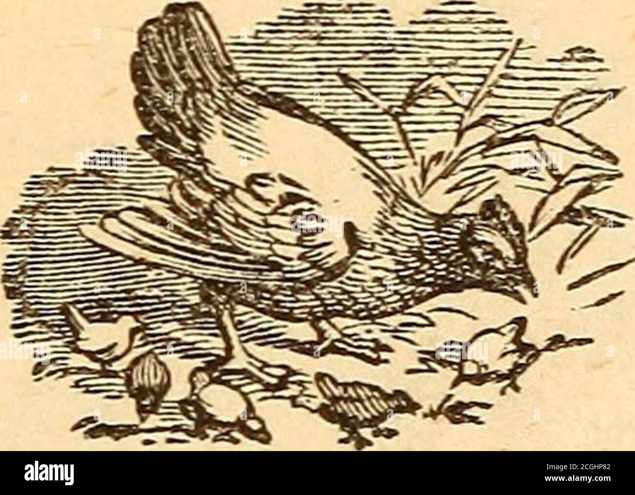 Les uns sur les autres hi-res stock photography and images - Alamy