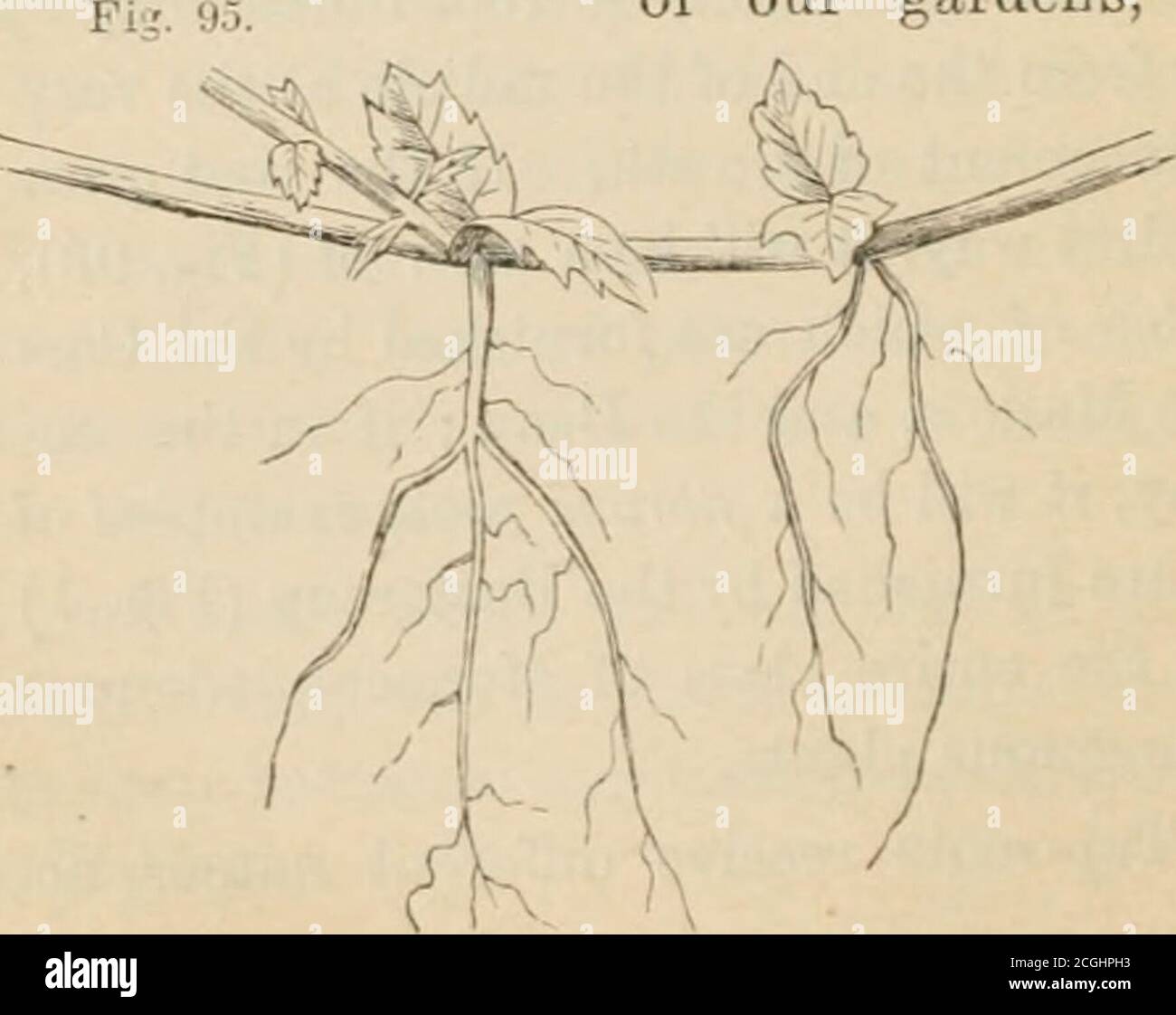 Warmth produced hi-res stock photography and images - Alamy