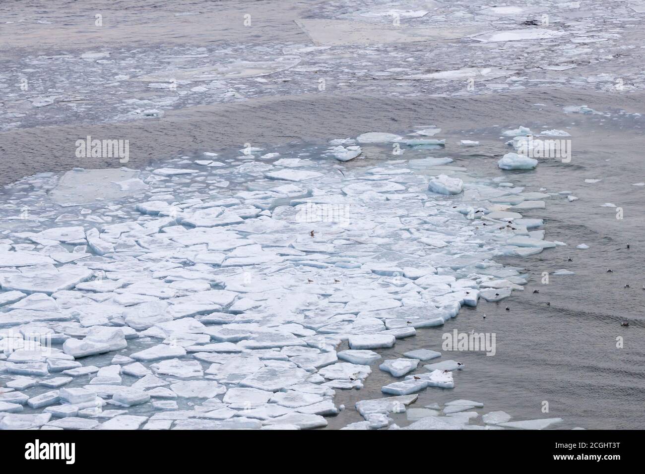 Winter sea in Vladivostok near the Russian island, covered with ...