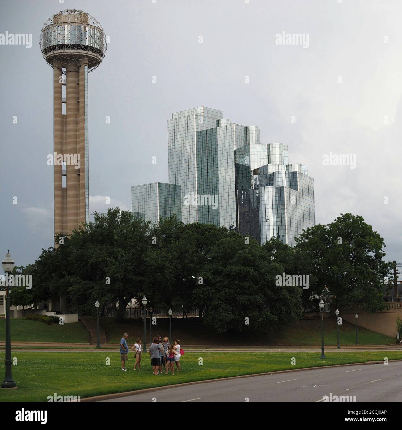 Trees fronting skyline hi-res stock photography and images - Alamy