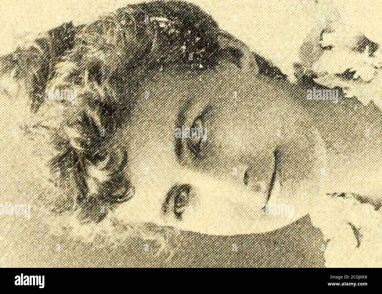 . Sponsor souvenir album : history & reunion (1895) . +mt*,wm mi* «„ii ...