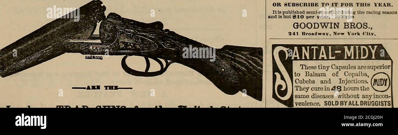 Parm horses hi-res stock photography and images - Alamy