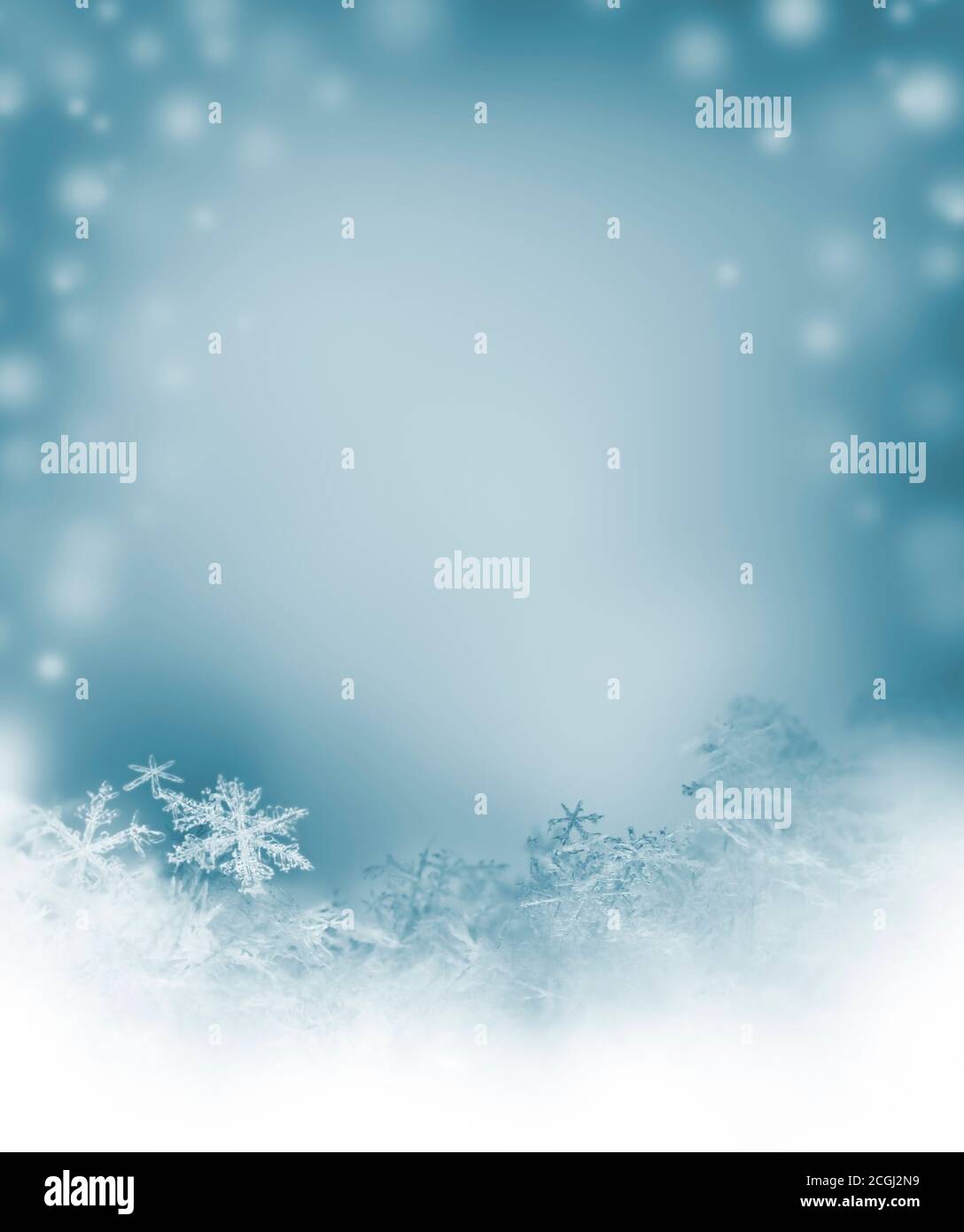 winter background with natural snowflakes Stock Photo - Alamy