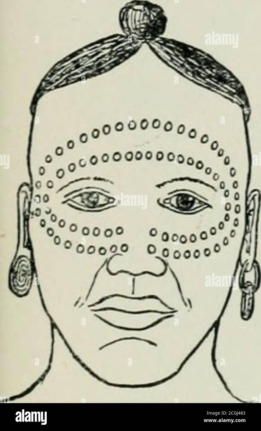 . The Victoria Nyanza; the land, the races and their customs, with ...