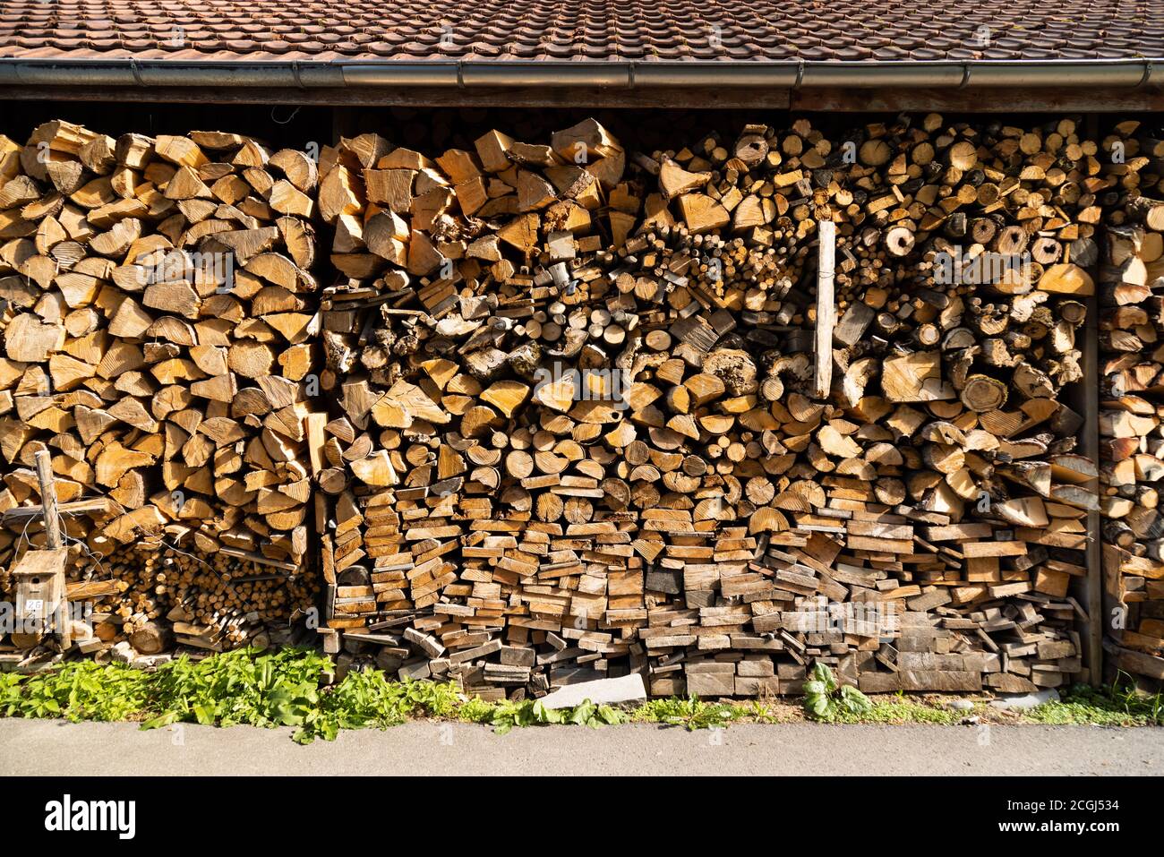 Woodpile under tree hi-res stock photography and images - Alamy