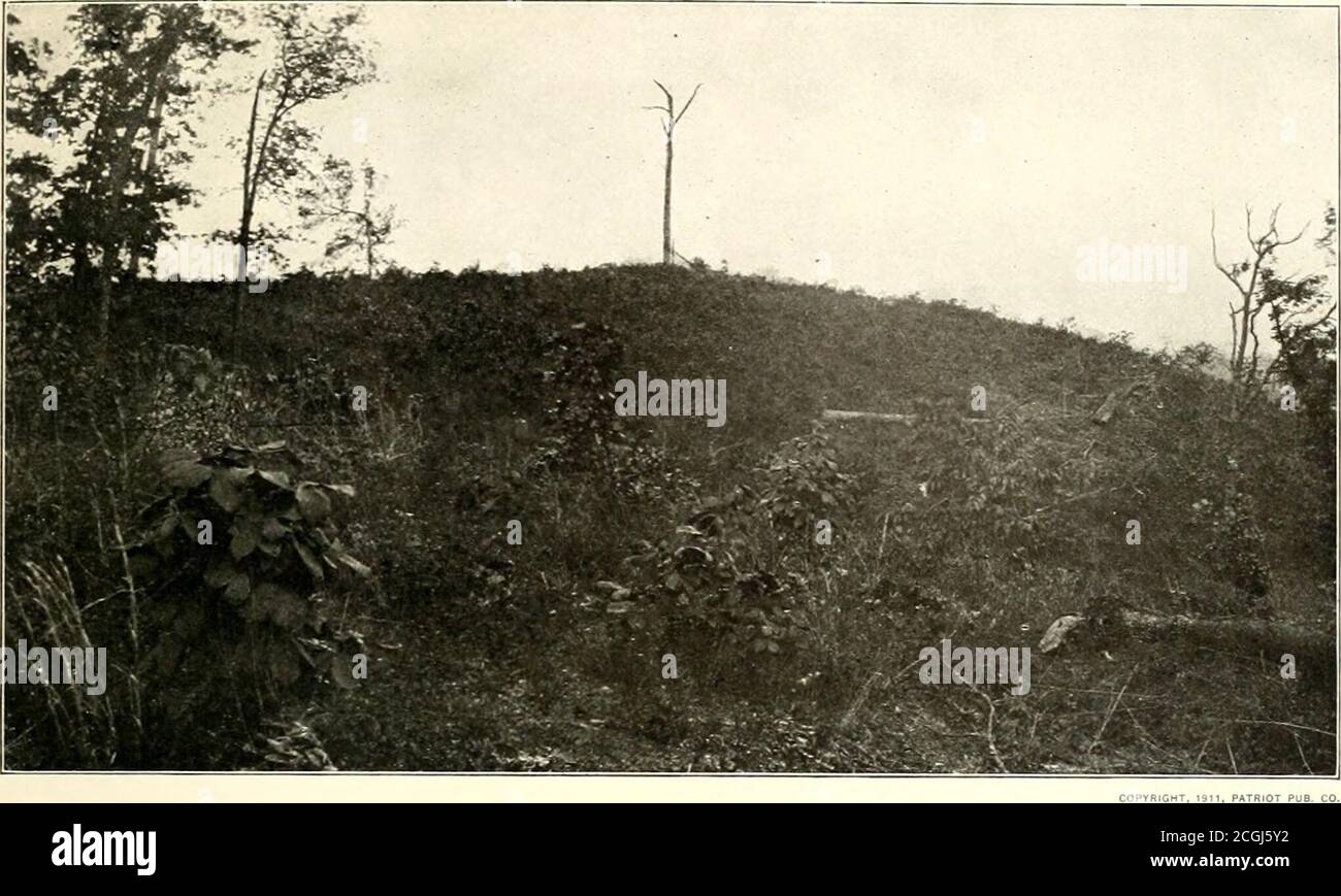 . The Civil War through the camera : hundreds of vivid photographs ...