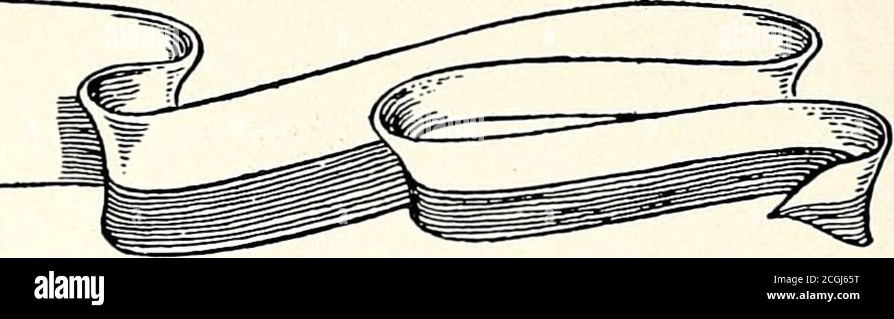 Stern rake hi-res stock photography and images - Alamy