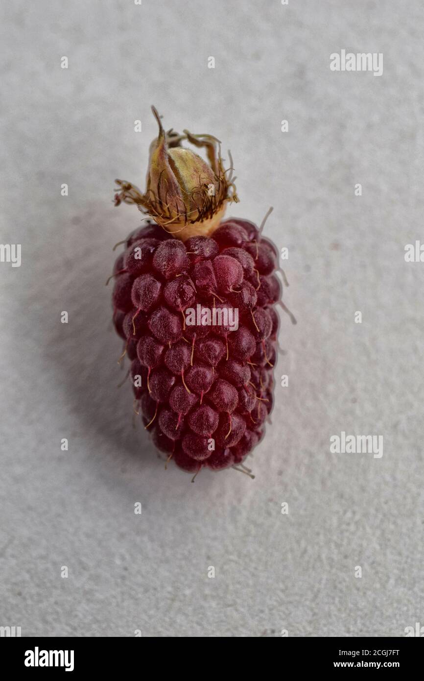 Loganberry hi-res stock photography and images - Alamy