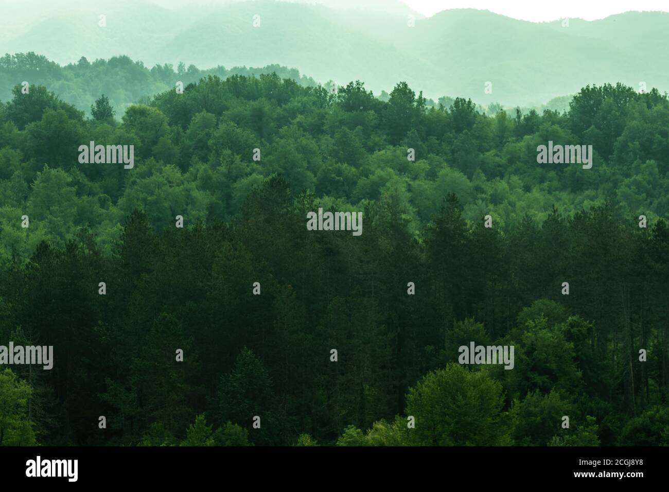 Travel through the Montenegrin mountains in Europe, views of beautiful ...
