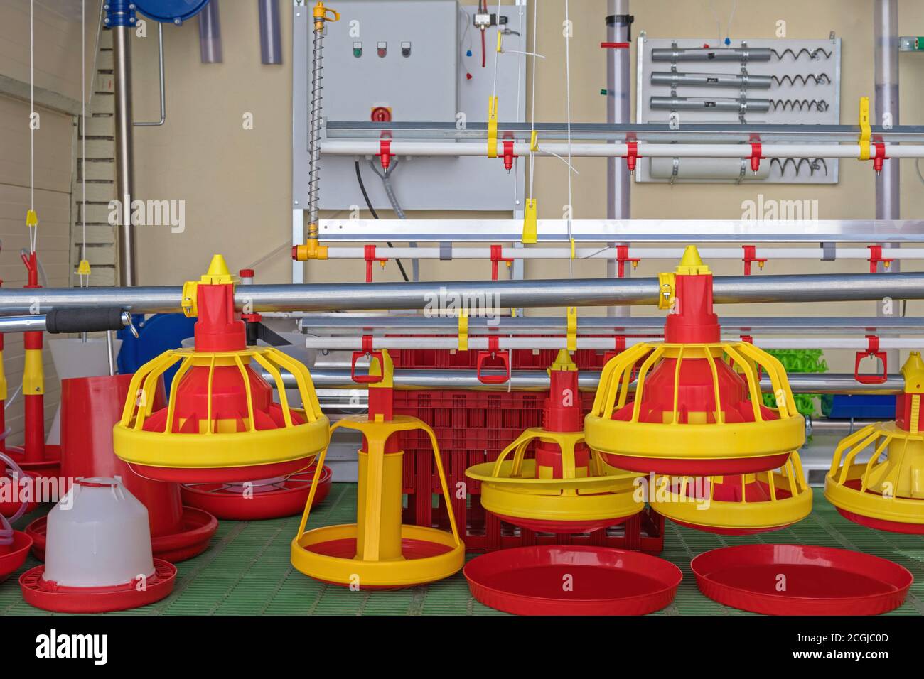 Automated Plastic Hopper Chicken Feeder for Poultry Farm Stock Photo ...