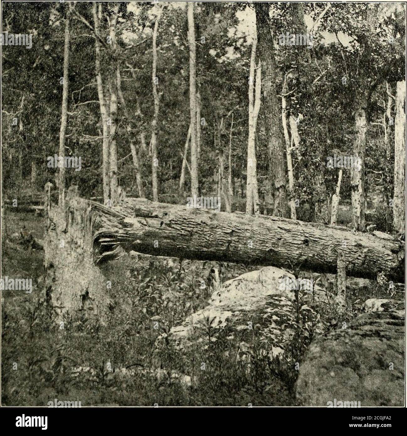 . The photographic history of the Civil War : in ten volumes ...