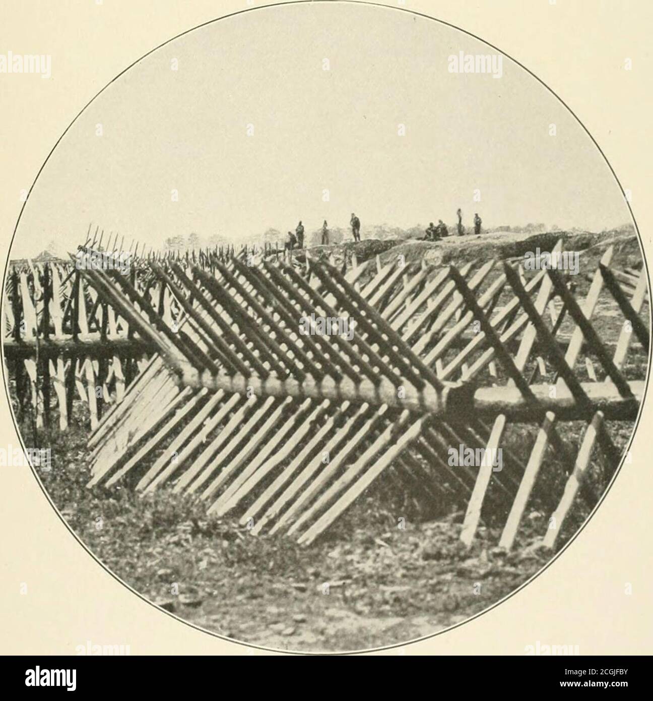 Abatis High Resolution Stock Photography and Images - Alamy