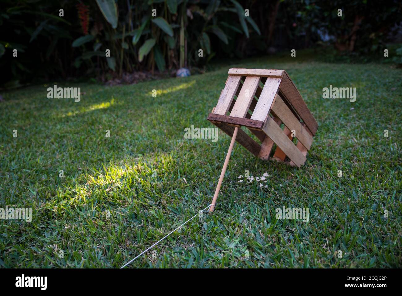 Wooden stick tied hi-res stock photography and images - Alamy