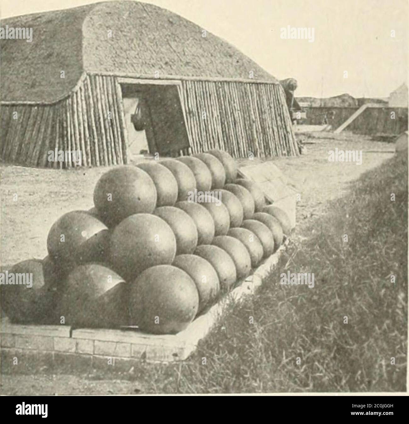 Rig gun hi-res stock photography and images - Alamy