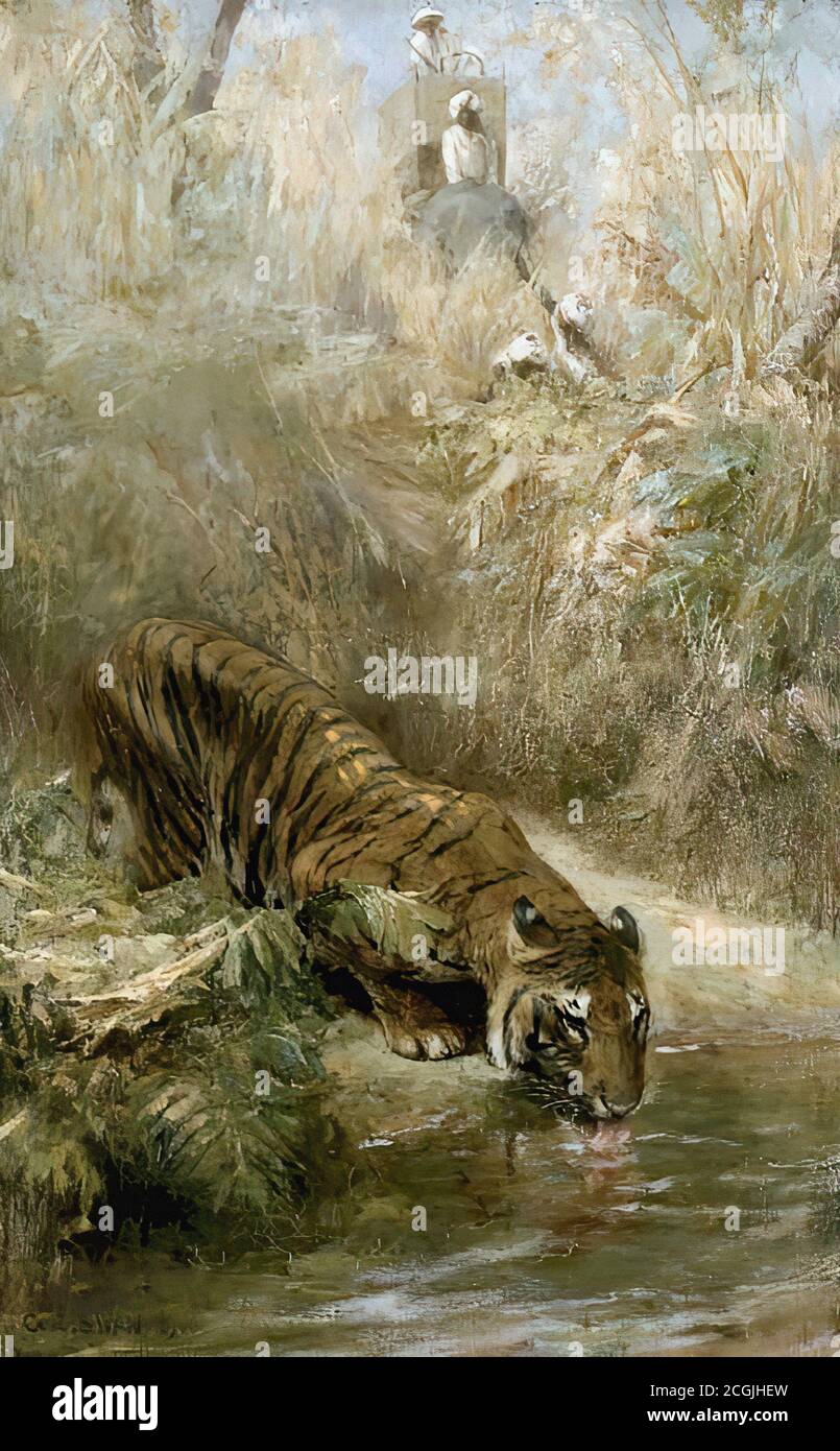 Swan Cuthbert Edmund - the Tiger Hunt - British School - 19th Century ...