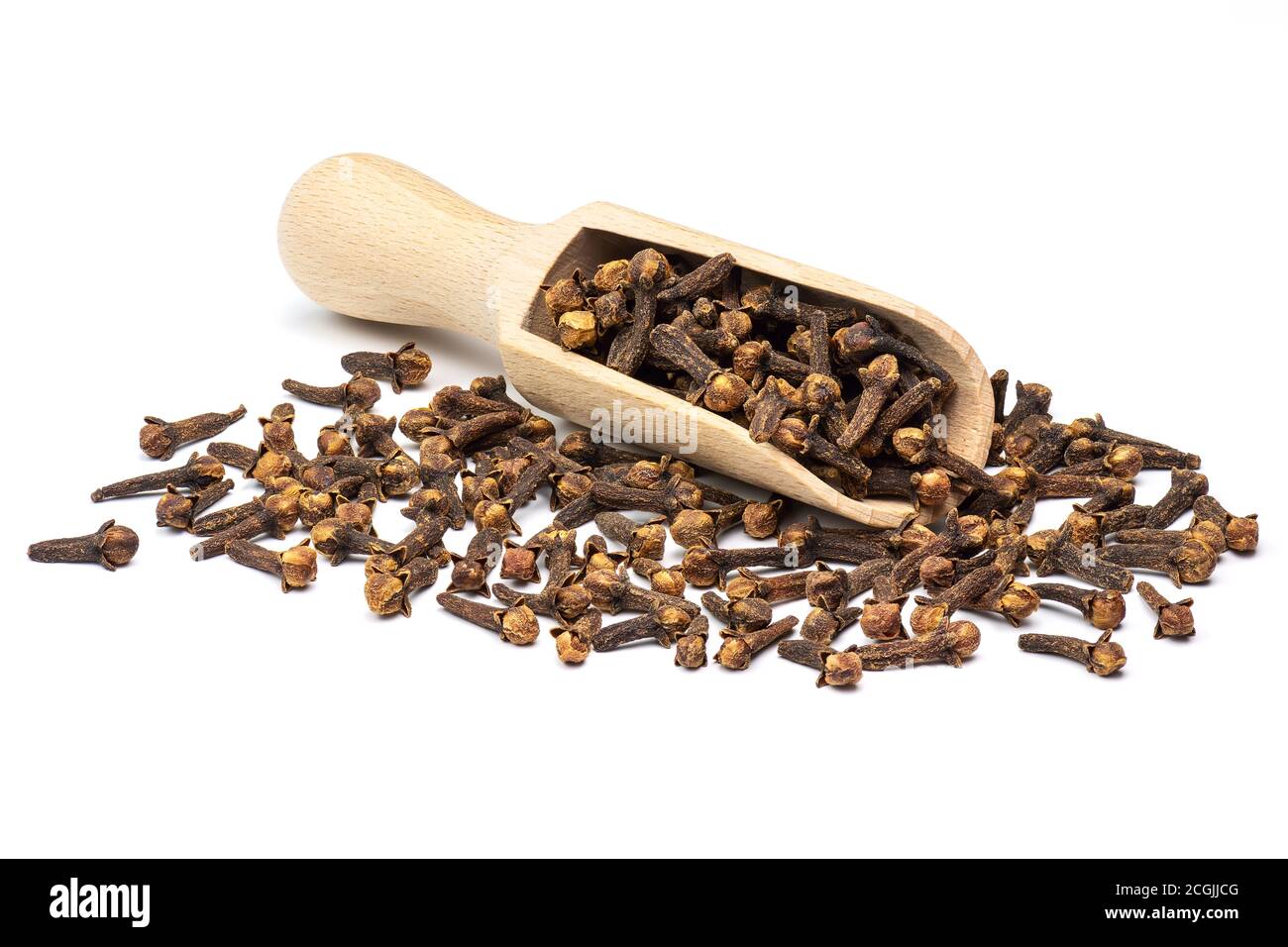 Dried clove spice in the wooden scoop isolated on white background ...