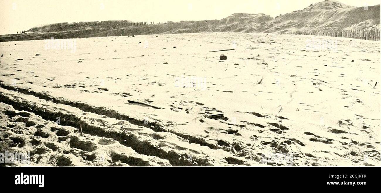 General alfred terry hi-res stock photography and images - Alamy