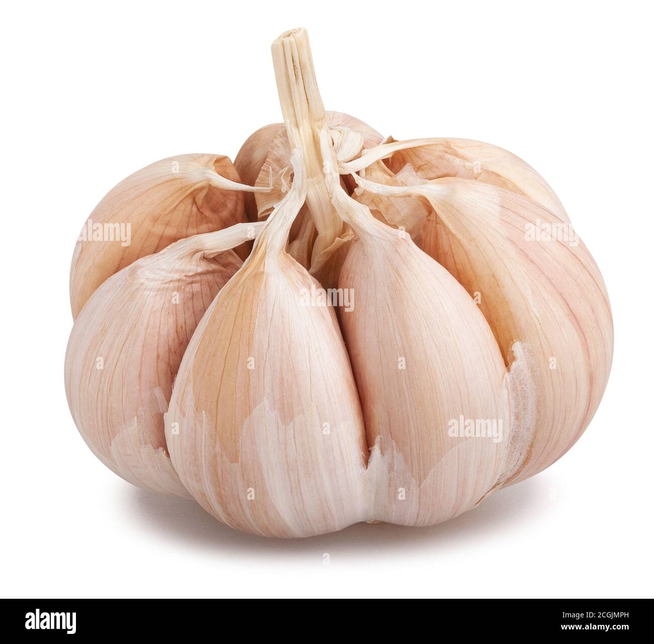 Single Garlic Clove High Resolution Stock Photography and Images - Alamy