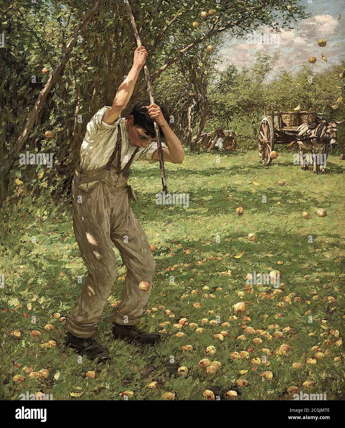 Thangue Henry Herbert La - Shaking down Cider Apples - British School ...