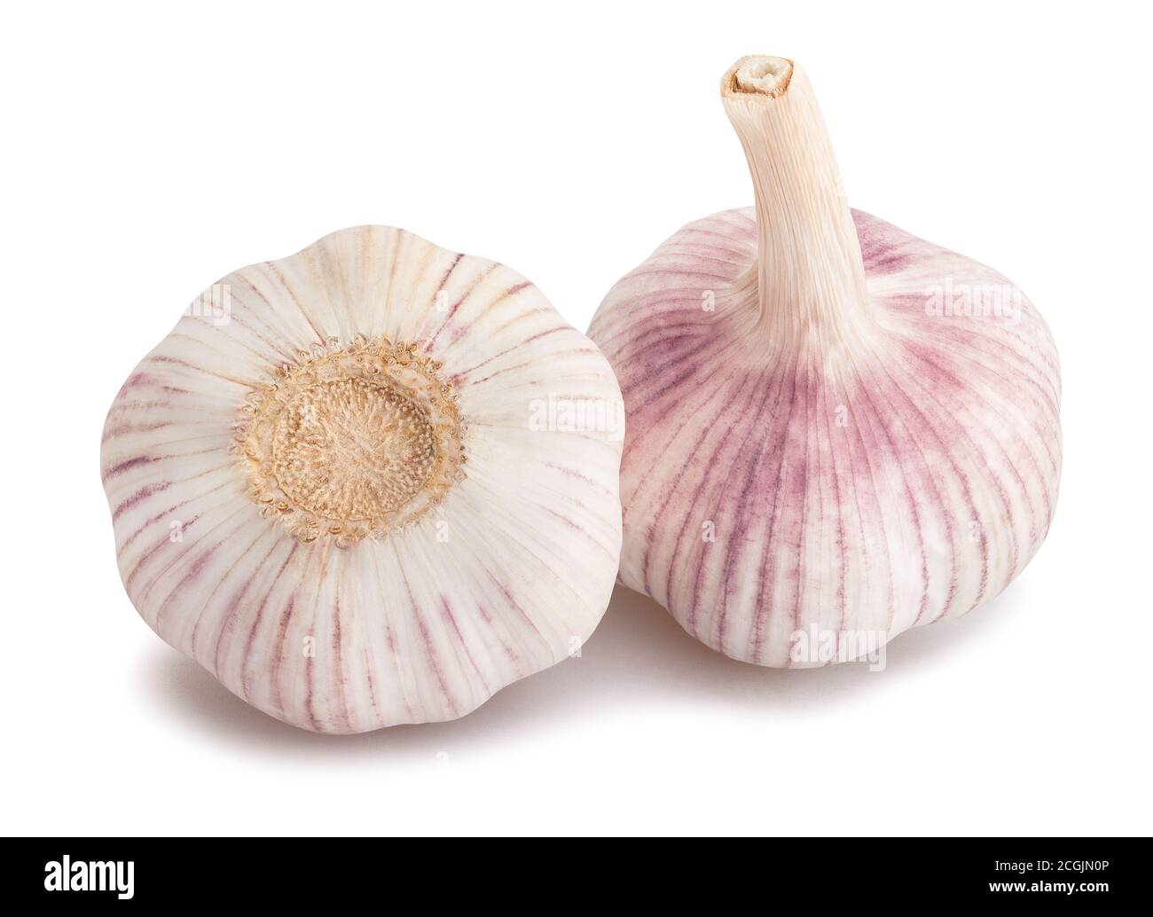 garlic isolated on white background Stock Photo - Alamy