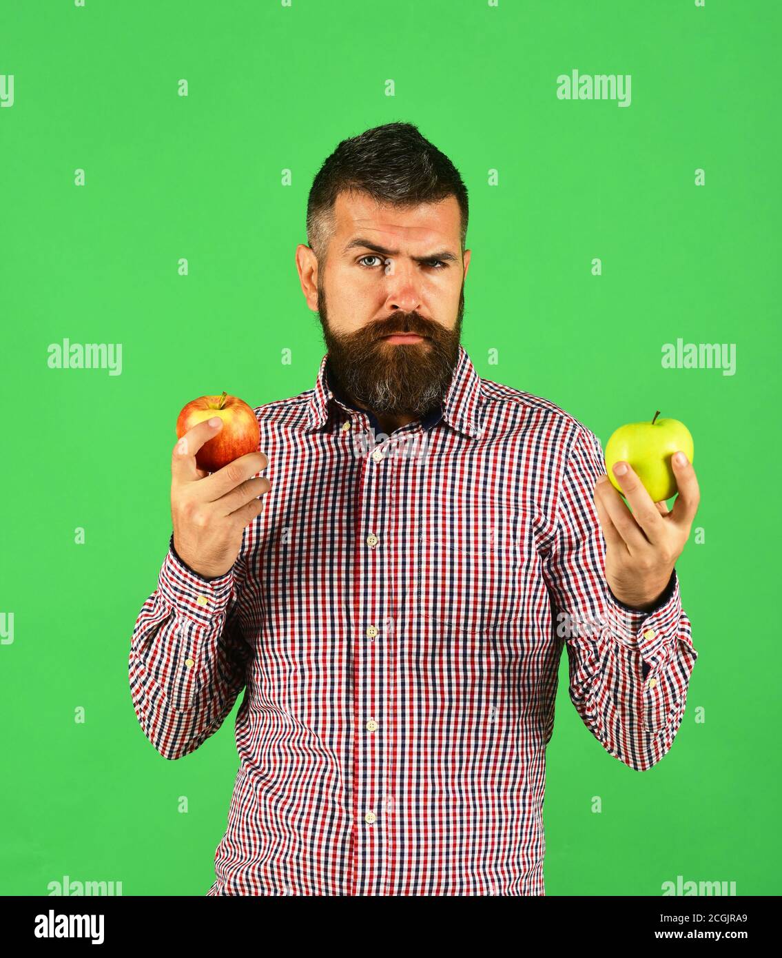 Gardening and fall crops concept. Man with beard holds red and green ...