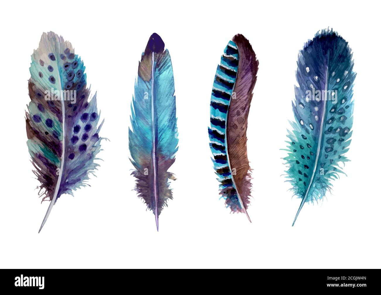 Watercolor feathers set isolated on white. Hand drawn watercolour bird ...