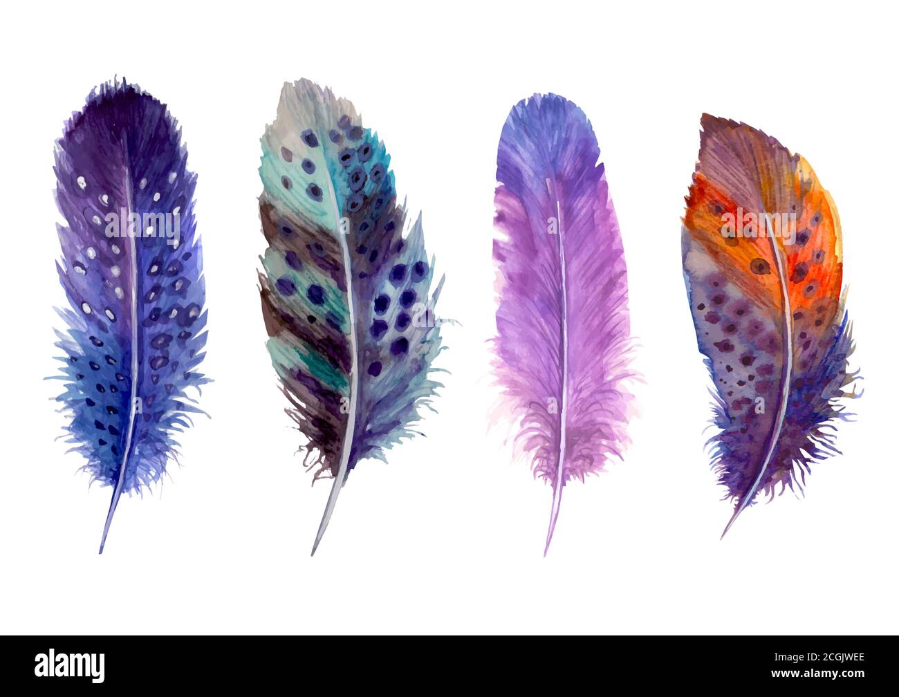 Watercolor Feathers