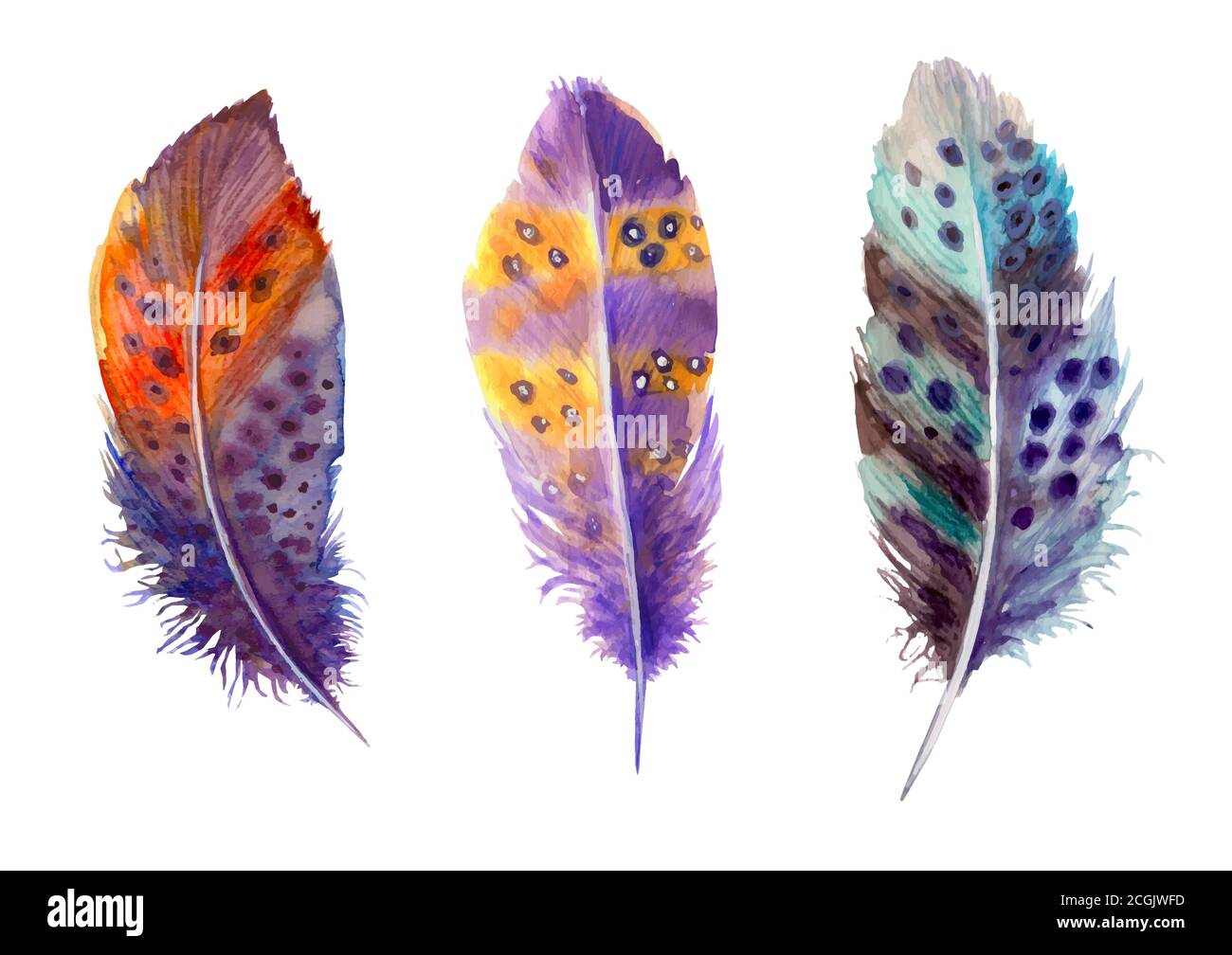 Bird color vibrant Stock Vector Images - Alamy